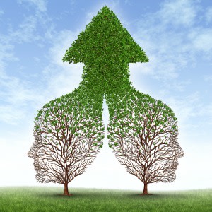 Equip consolidates accumulation division - Super Review