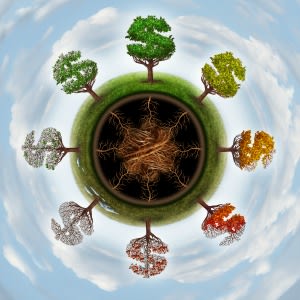 Tasplan unveils new lifecycle offering - Super Review