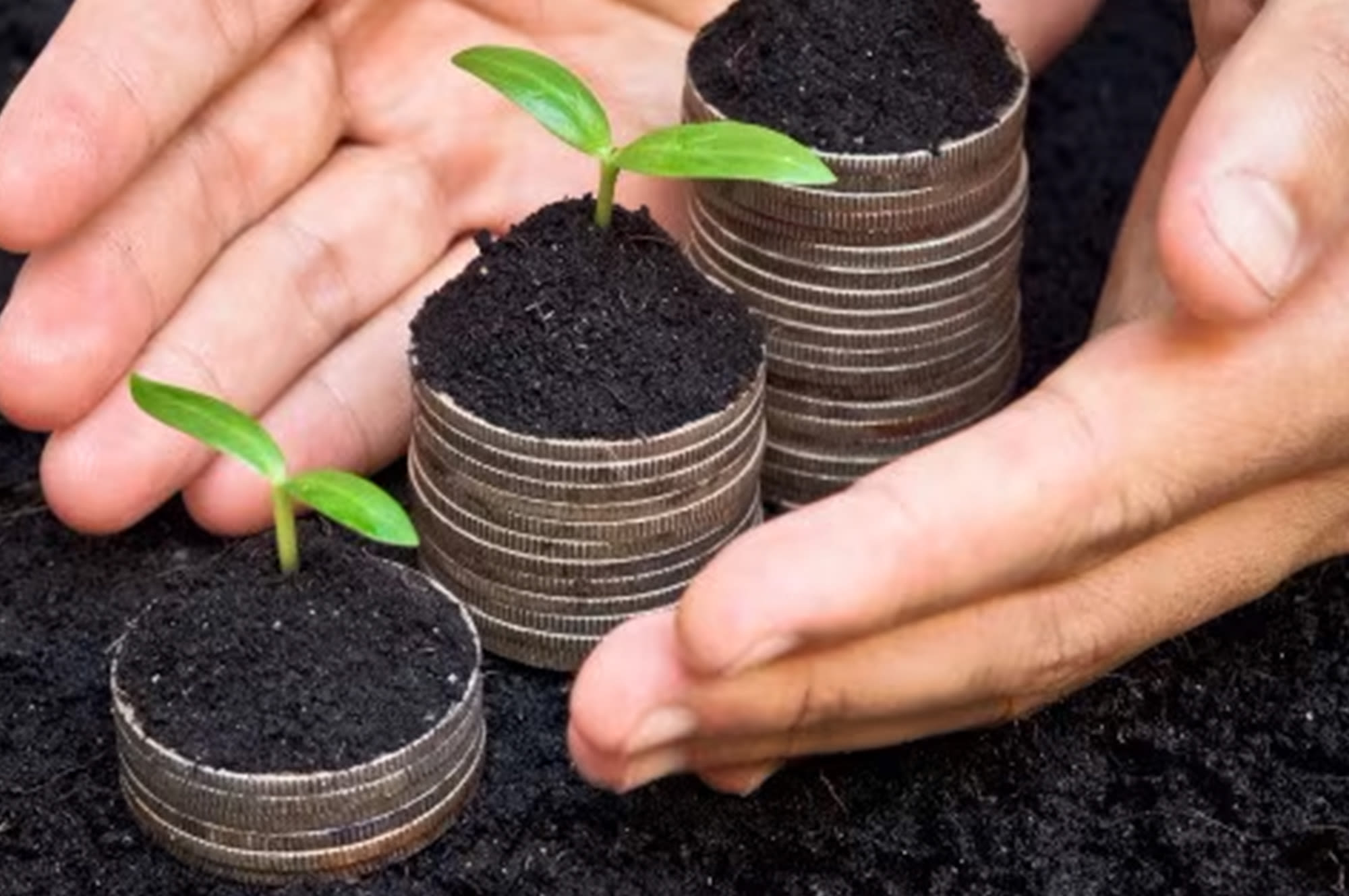 CPA backs mandated ESG marketing reforms - Super Review
